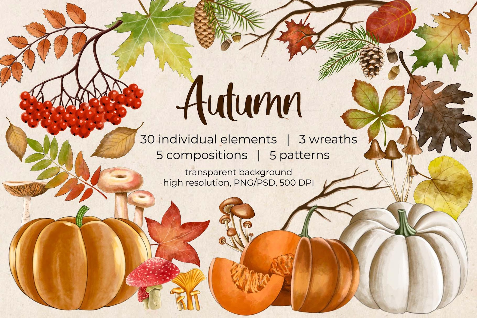 Watercolor Pumpkin Fall Leaves Clipart Autumn Leaves Clipart Autumn ...