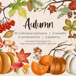 Watercolor Pumpkin Fall Leaves Clipart Autumn Leaves Clipart Autumn ...