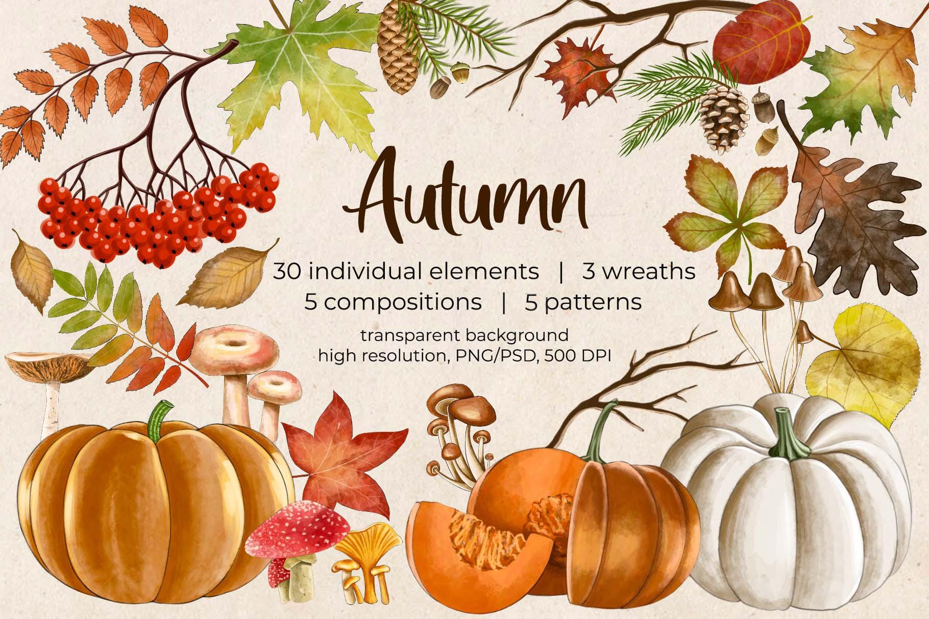 Watercolor Pumpkin Fall Leaves Clipart Autumn Leaves Clipart Autumn ...
