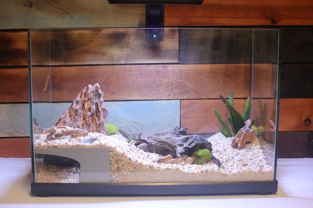 Large Corner Cave for Terrariums and Aquariums - Etsy