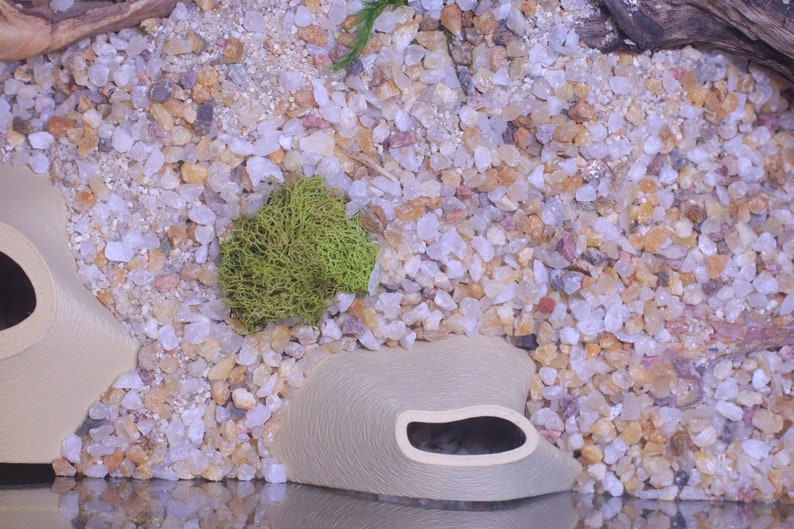 Aquarium and Terrarium Volcano Cave - Etsy