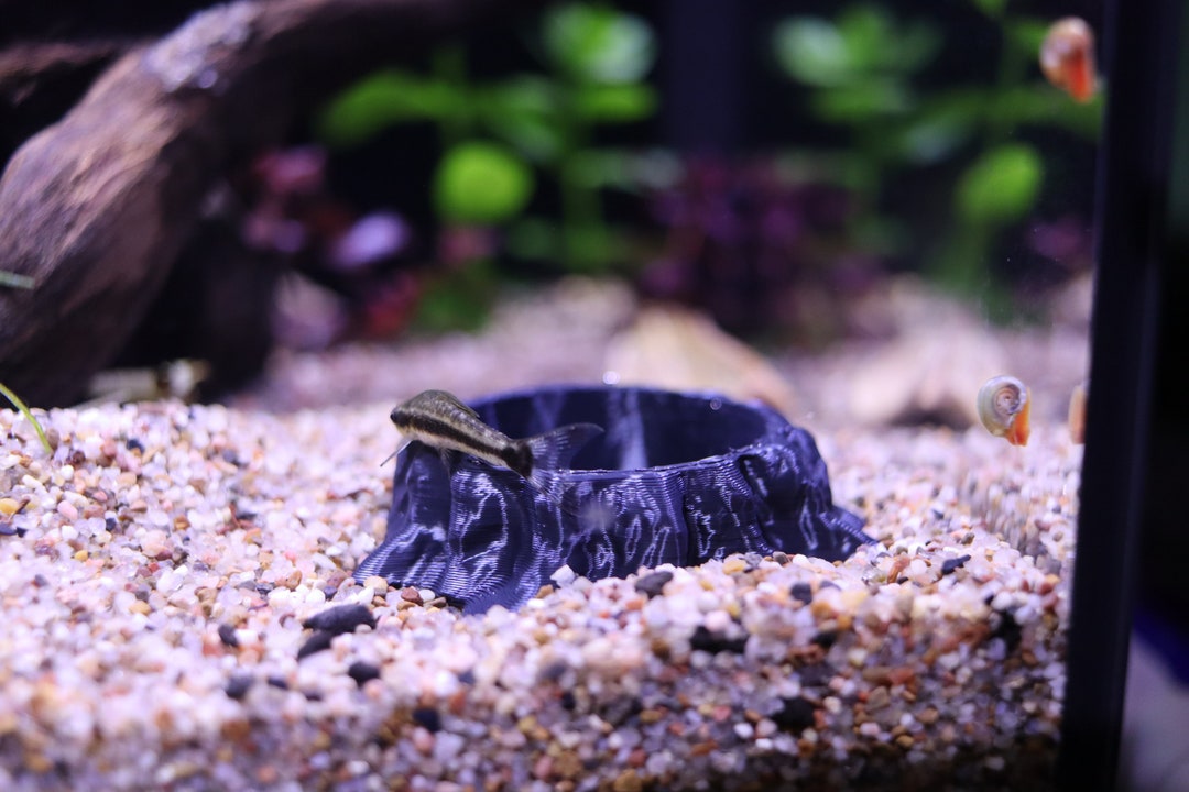 Tree Stump Fish and Shrimp Feeder - Etsy