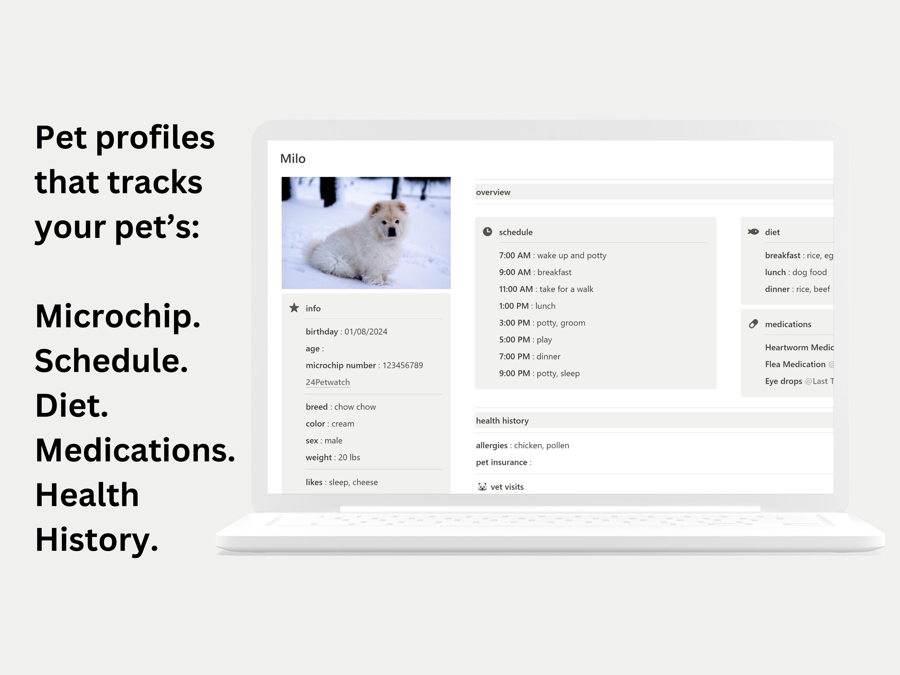 Aesthetic, Minimalist Pet Dashboard Notion Template, Pet Care Planner ...