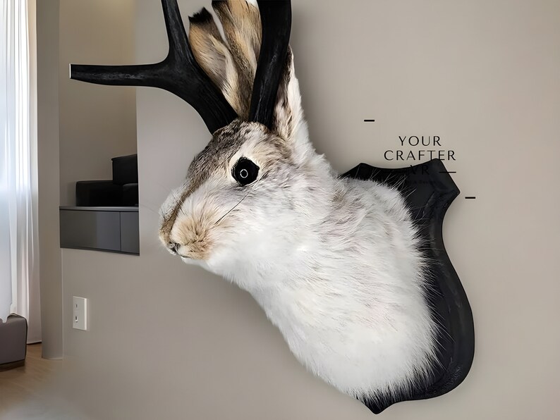 Taxidermy Rabbit Head, Rabbit Head Wall Decor, Deer Head Mount, Deer ...