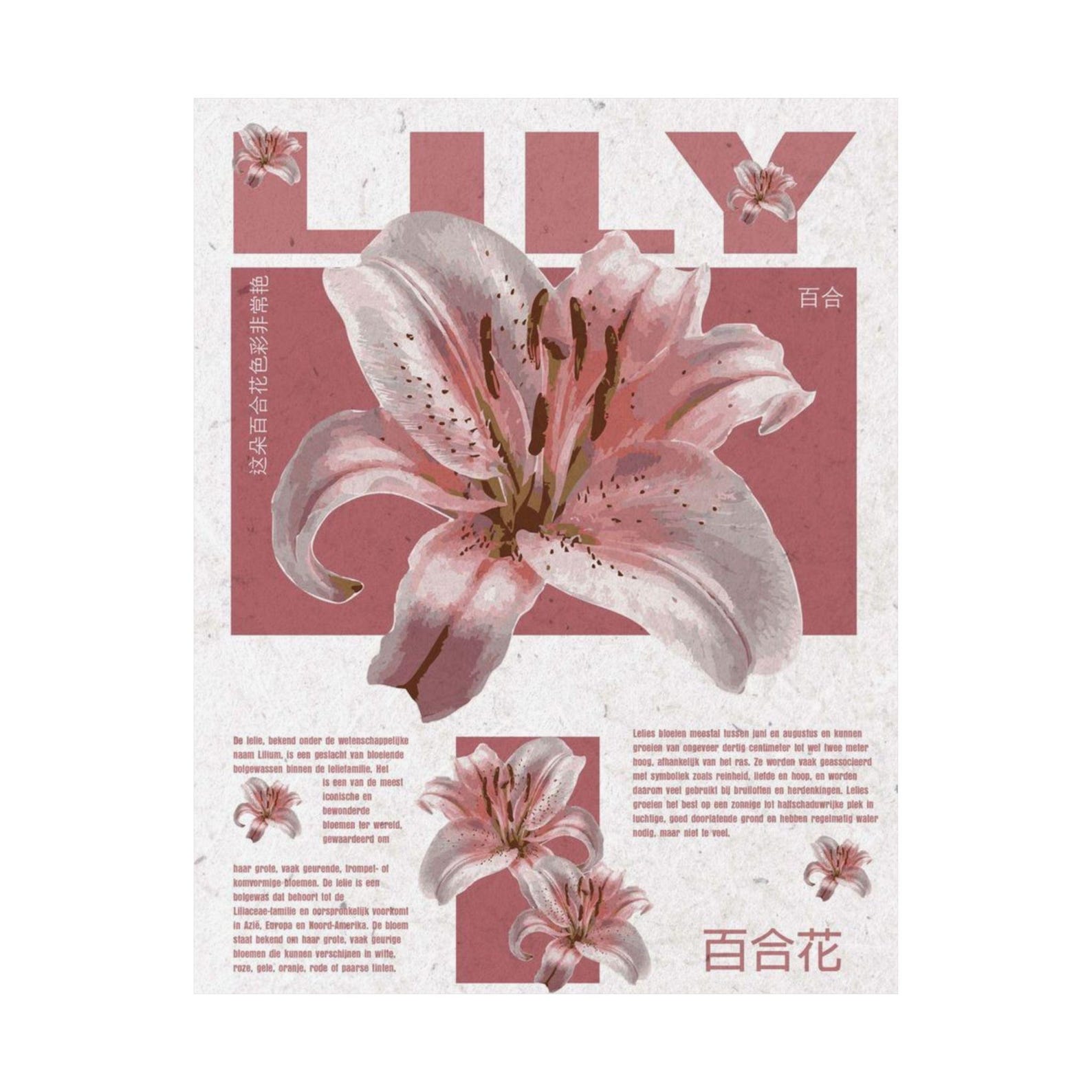Pink Lily Botanical Poster Matte Vertical Poster | Floral Wall Art ...