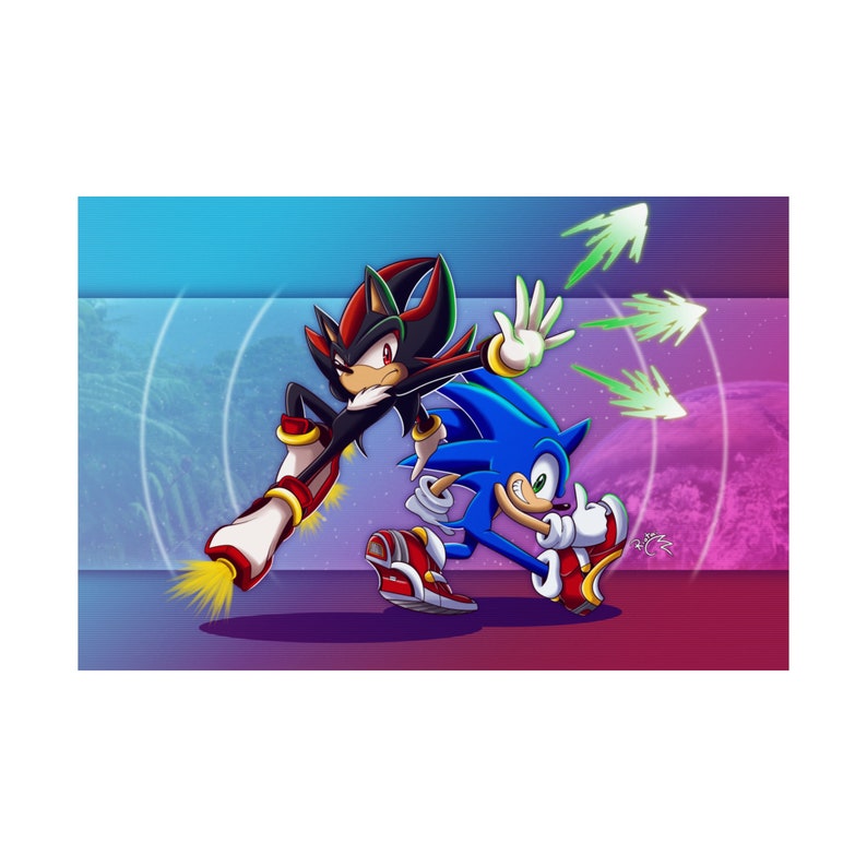 Sonic and Shadow (sonic Adventure 2) - Matte Poster Print - Etsy
