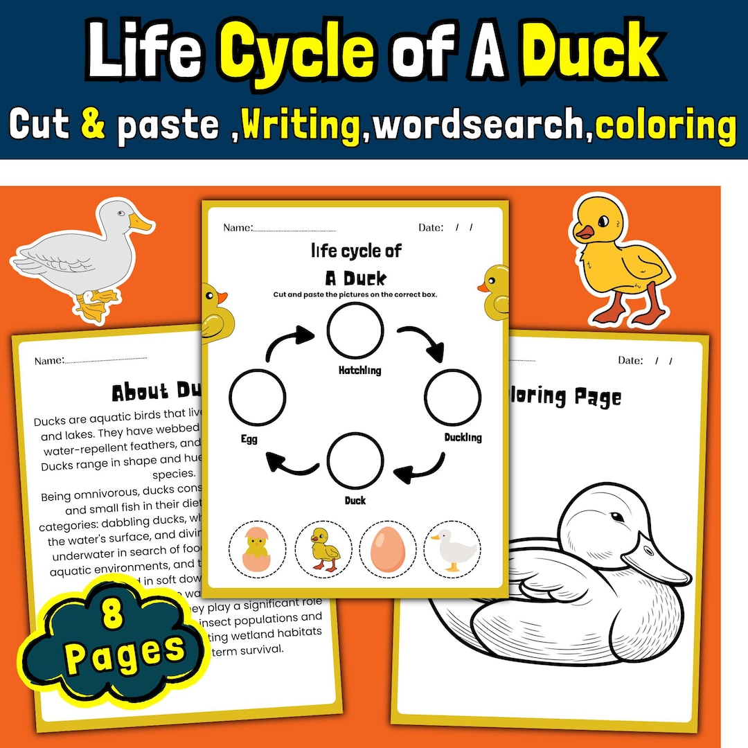 Life Cycle of a Duck Activity Pack Cut and Paste Coloring Word Search ...