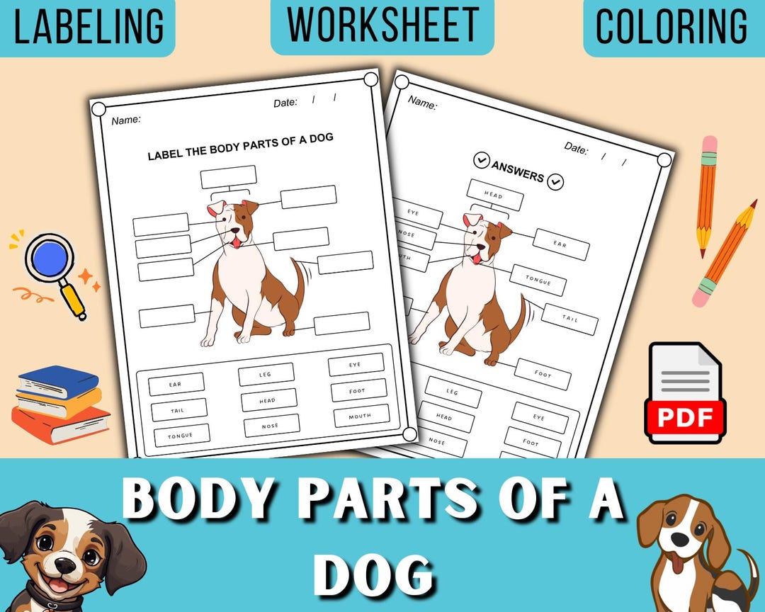 Dog External Anatomy | Body Parts Worksheet | Animal | Coloring ...