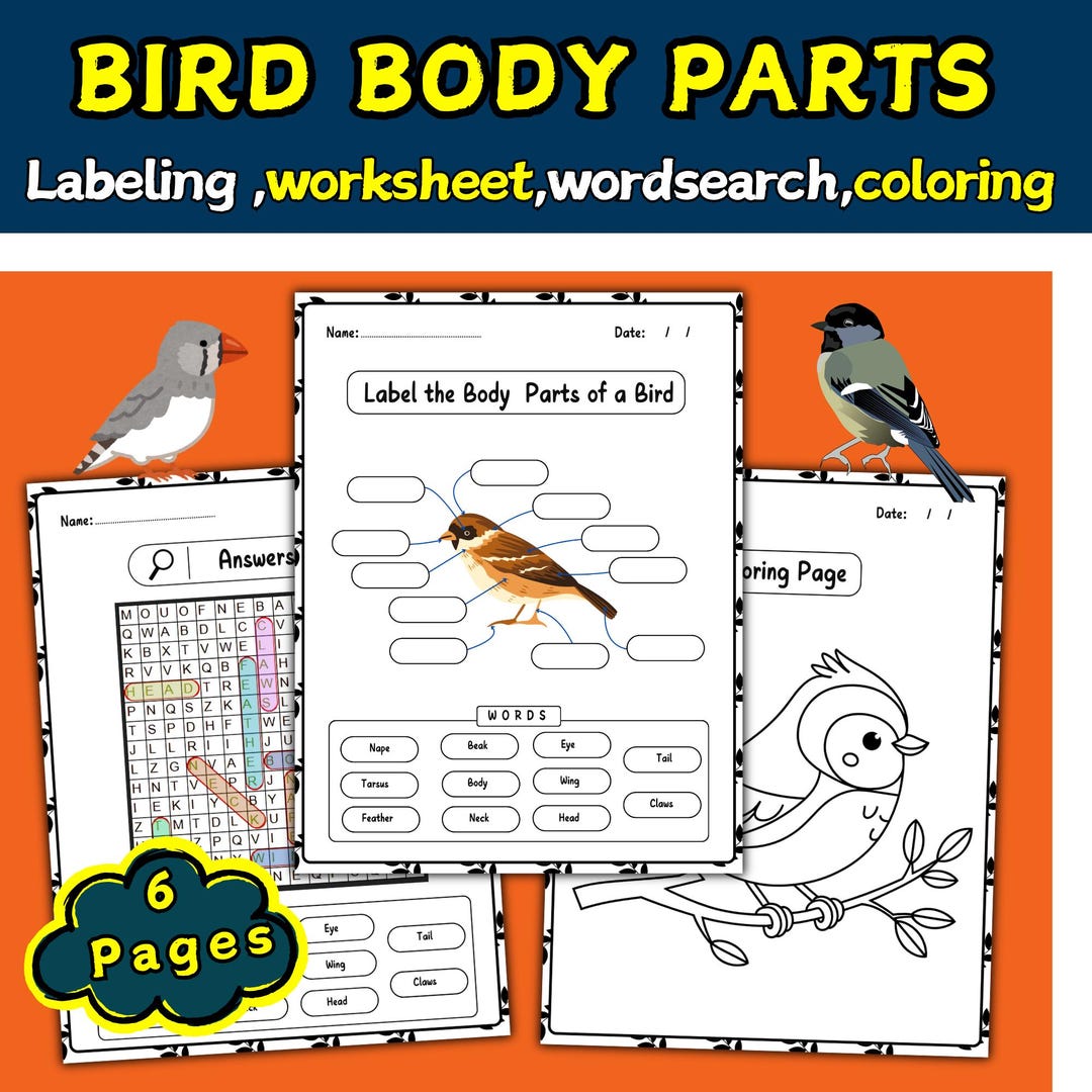 Bird Body Parts in English:anatomy, Labeling, Coloring Pages, Word ...