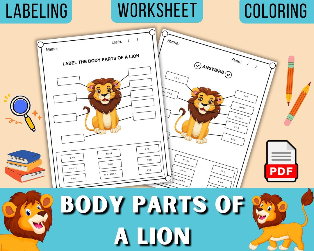 Lion Body Parts for Kids | External Anatomy Labeling Worksheet ...