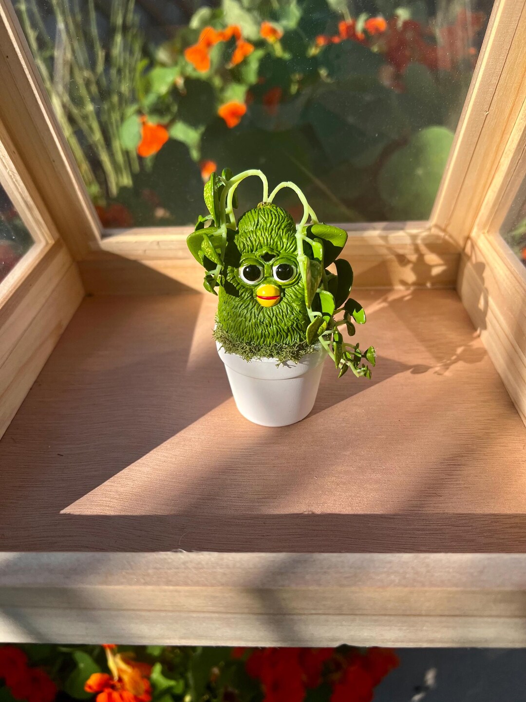 Mini Plant Furby in Tiny Pot Decor Pothos *** Terrarium Box Not ...