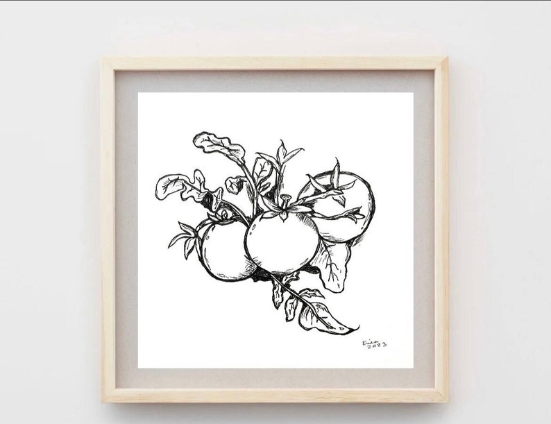 Original Tomato Pen and Ink Illustration, Kitchen Art, 9x9" - Etsy