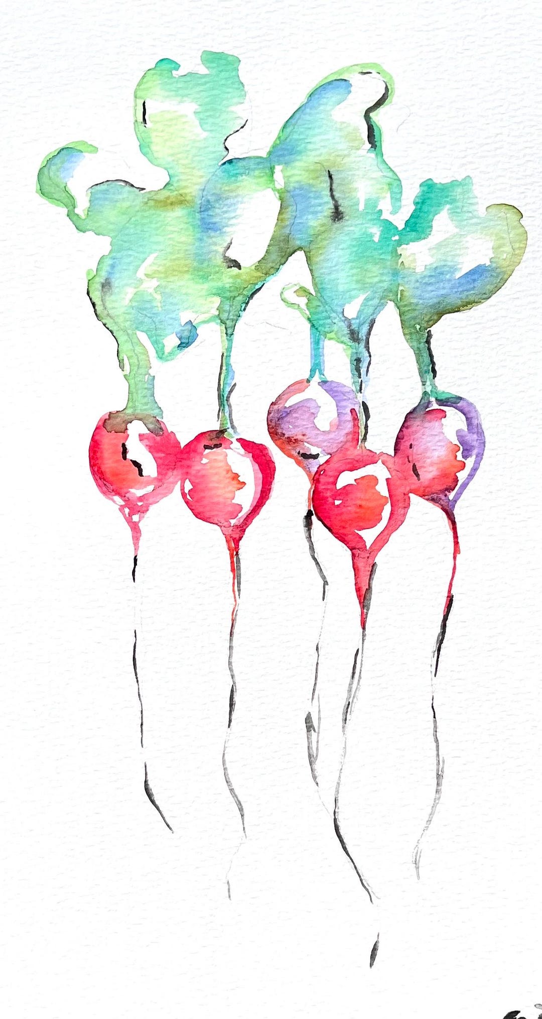 Original Watercolor Radish Painting. Paper is Deckeled Edge Paper ...