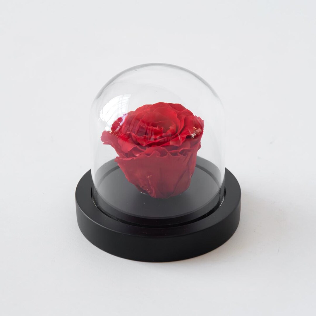 Eternal Red Rose Under a Glass Dome – Real Preserved Rose – Luxurious ...