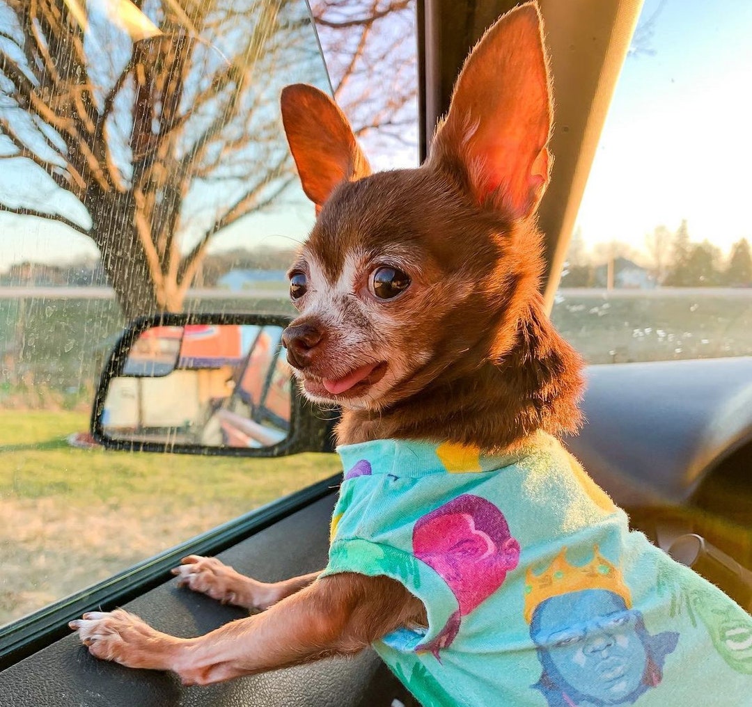 Rapper Pet Shirt, Dog Clothes, Small Dog Tops, Dog Tee, Pet Apparel - Etsy