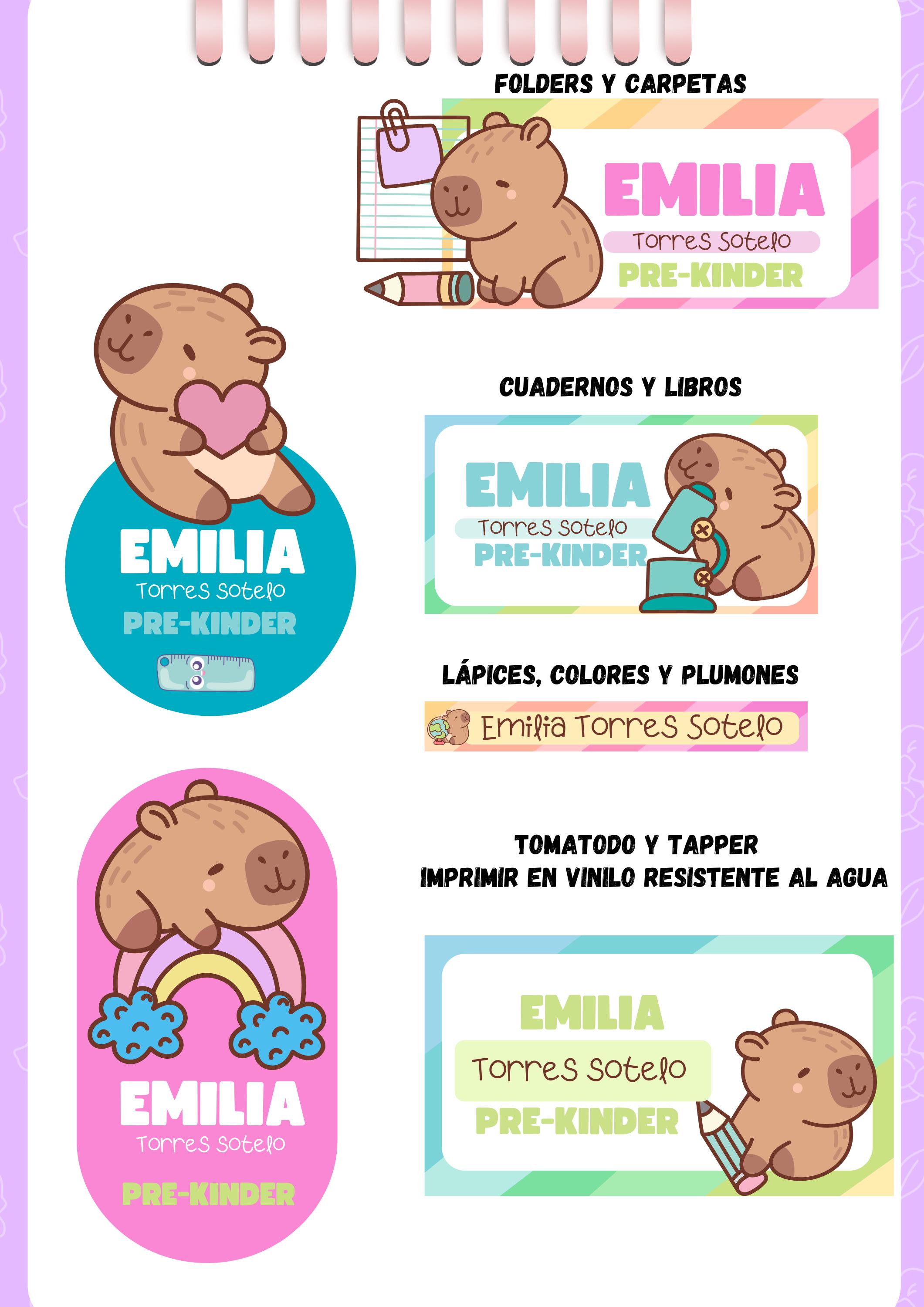 Etiquetas Escolares Capibara - Etsy México