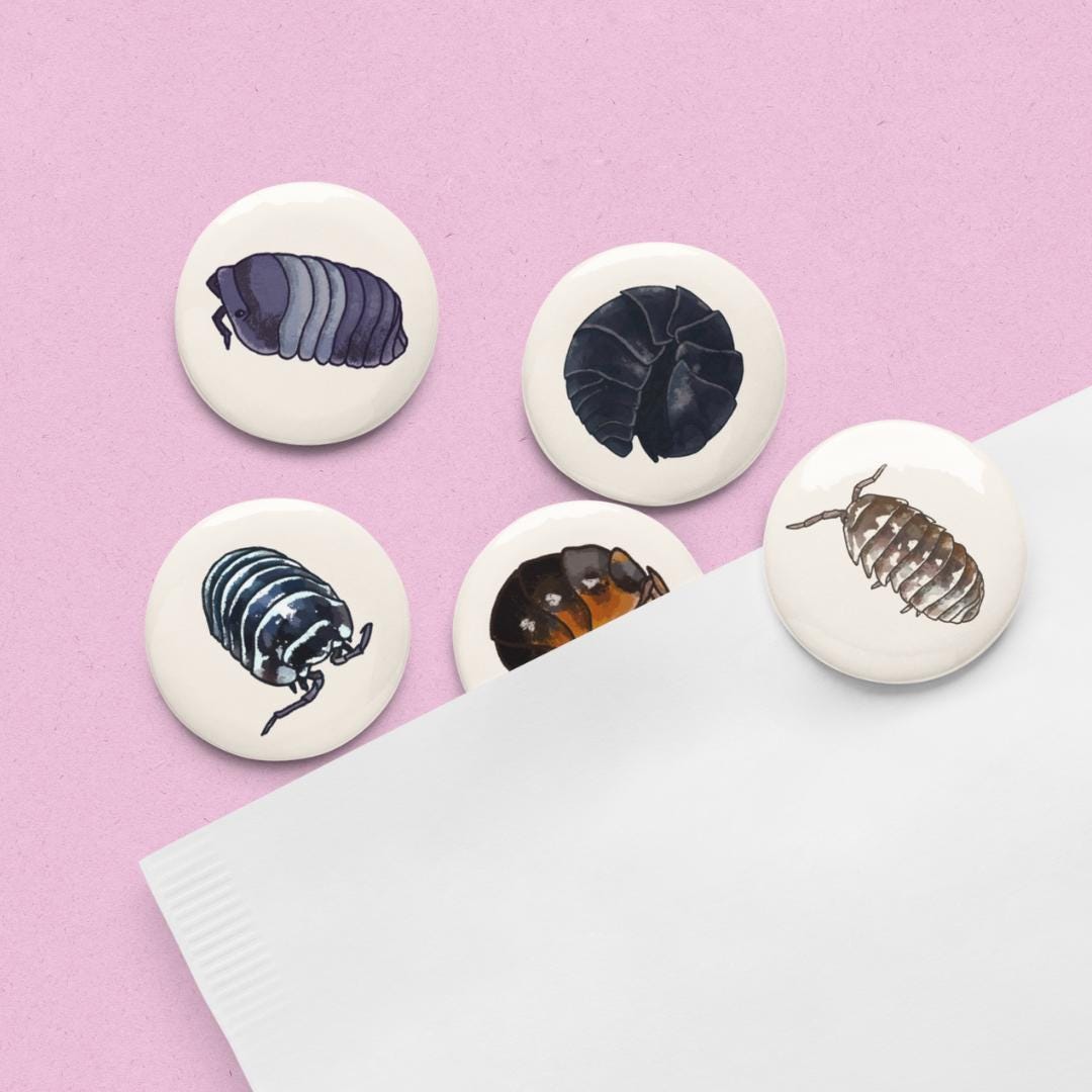 Roly Poly Buttons | Roly Poly/potato Bug Enthusiast | Isopods ...