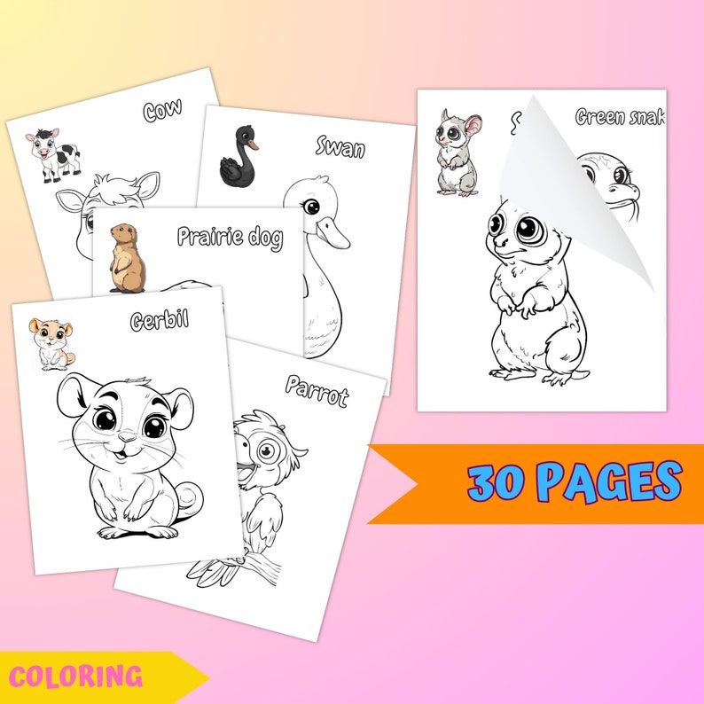 Domestic Animal L Coloring Sheet | Educational Art | Learning Activity ...