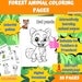 Colorful Forest Animal Coloring Pages for Toddlers, Preschool, and ...