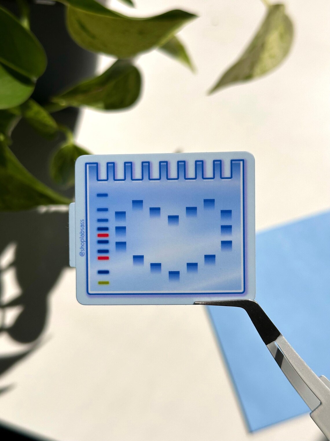 Heart SDS-PAGE Gel Vinyl Sticker, Funny Science Sticker, Cute Science ...