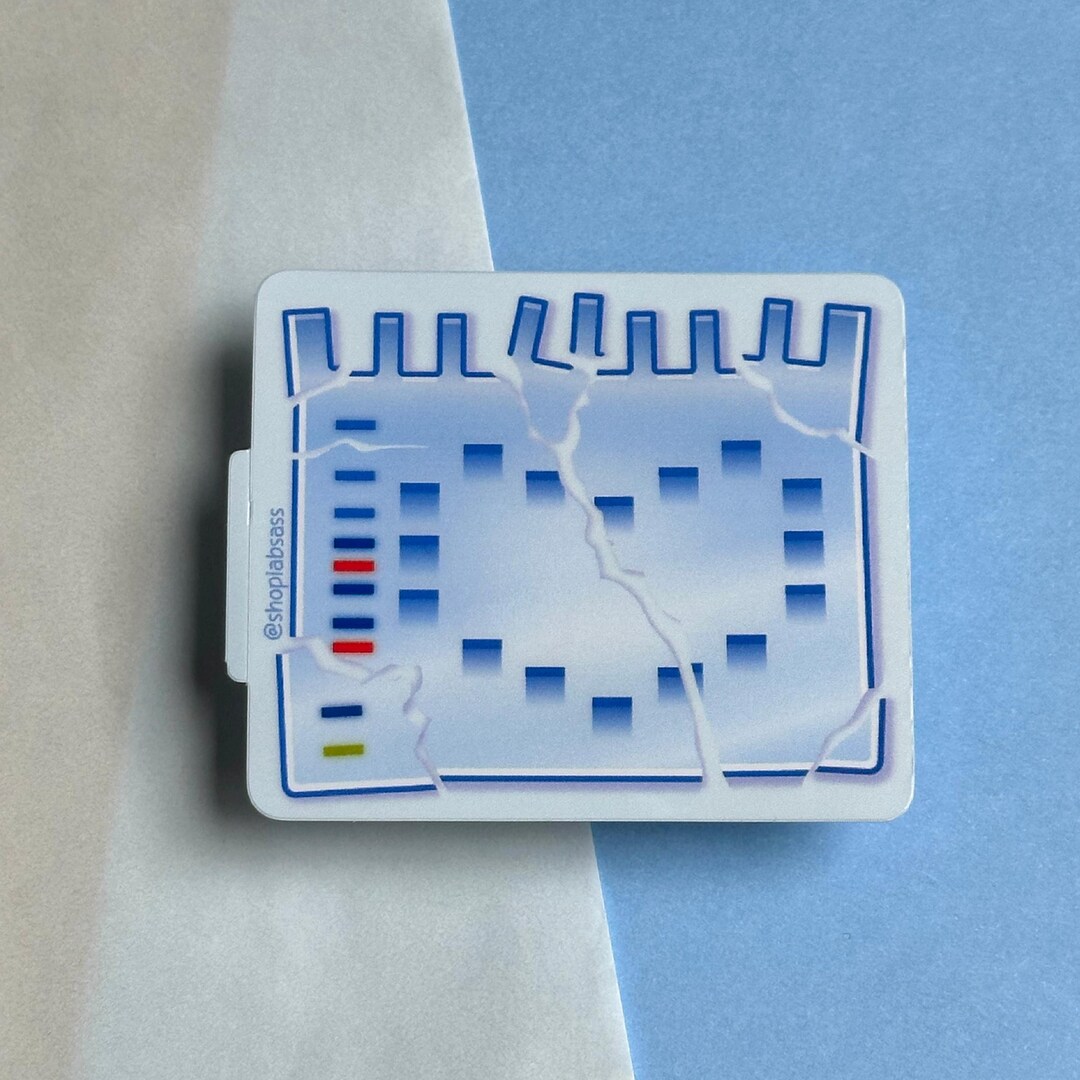 Broken Heart SDS-PAGE Gel Vinyl Sticker | Funny Science Stickers, Cute ...