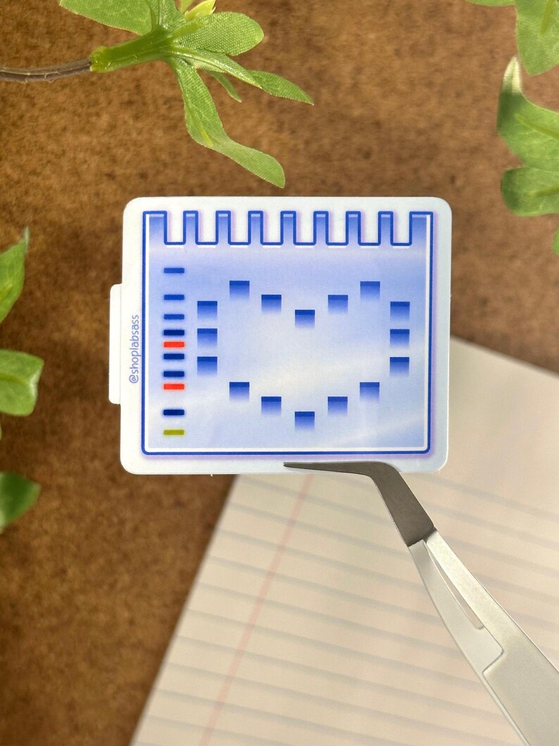 Heart SDS-PAGE Gel Vinyl Sticker, Funny Science Sticker, Cute Science ...