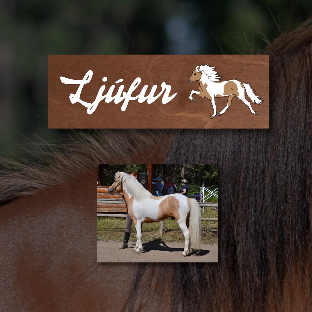 Custom Stall Sign "photo" [30x10cm] - Etsy