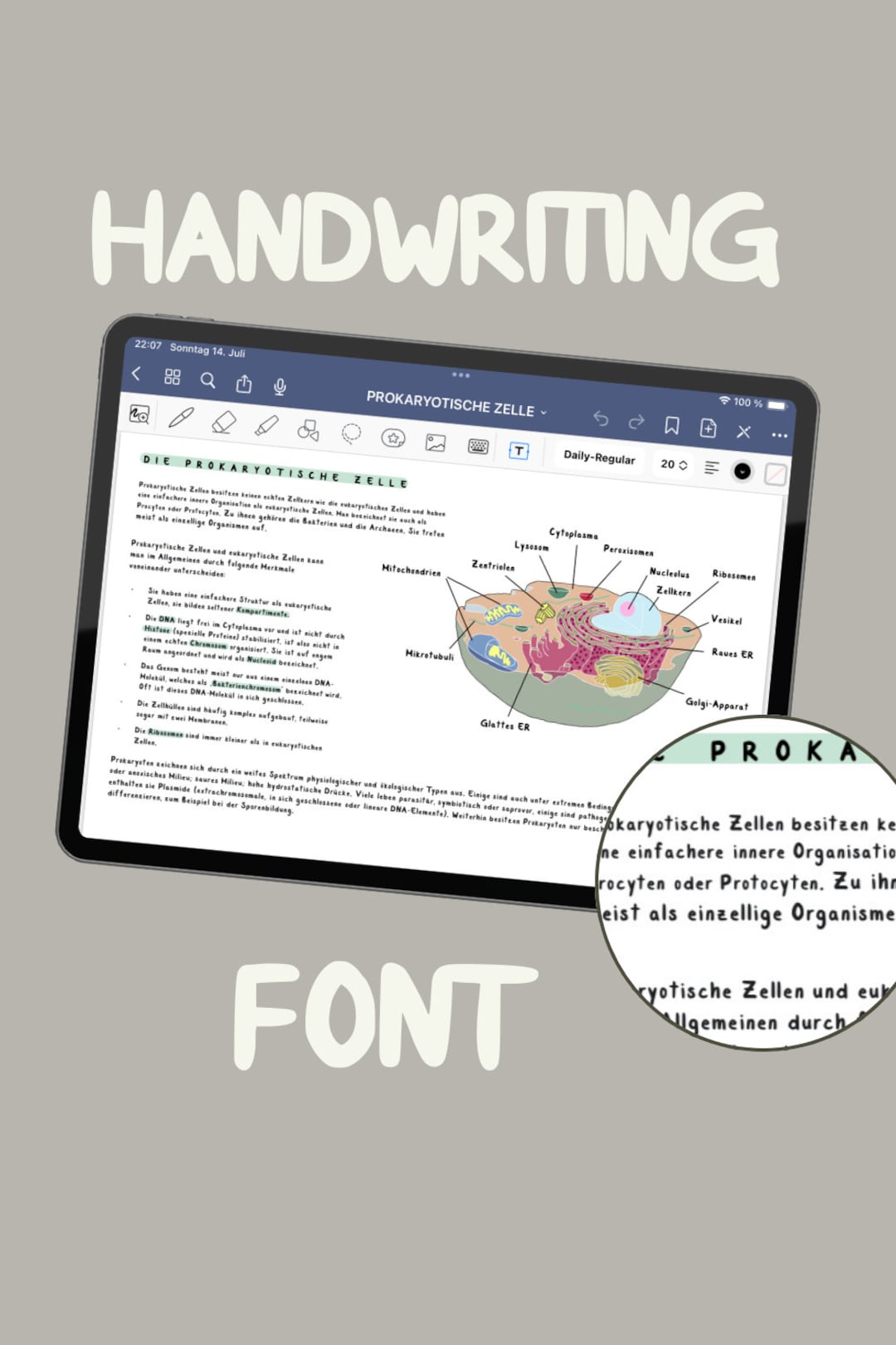 Beautiful Handwritten Font for Digital Notes and Planning | Font for ...