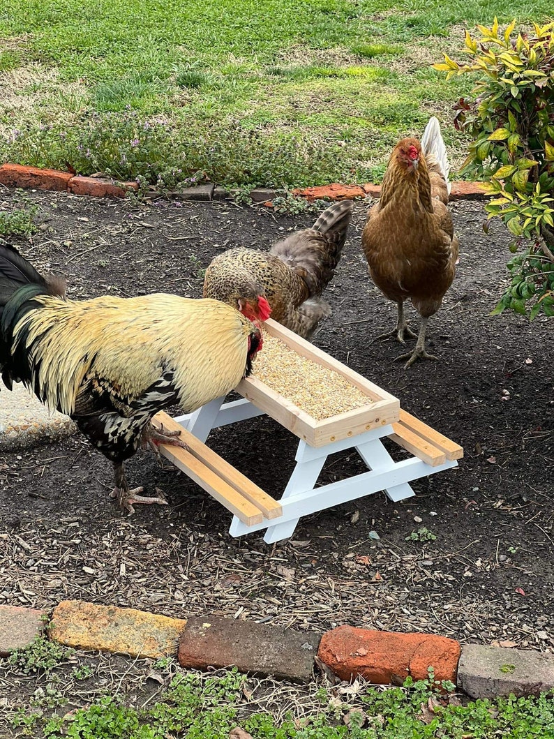 Chicnic Table - Etsy