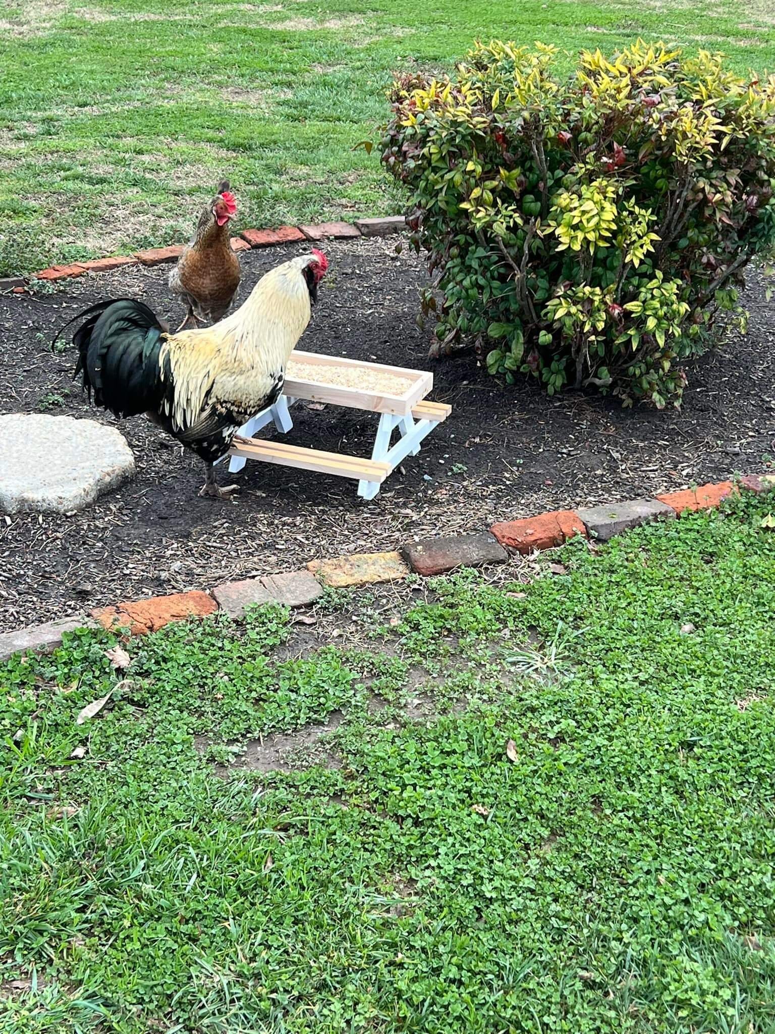 Chicnic Table - Etsy