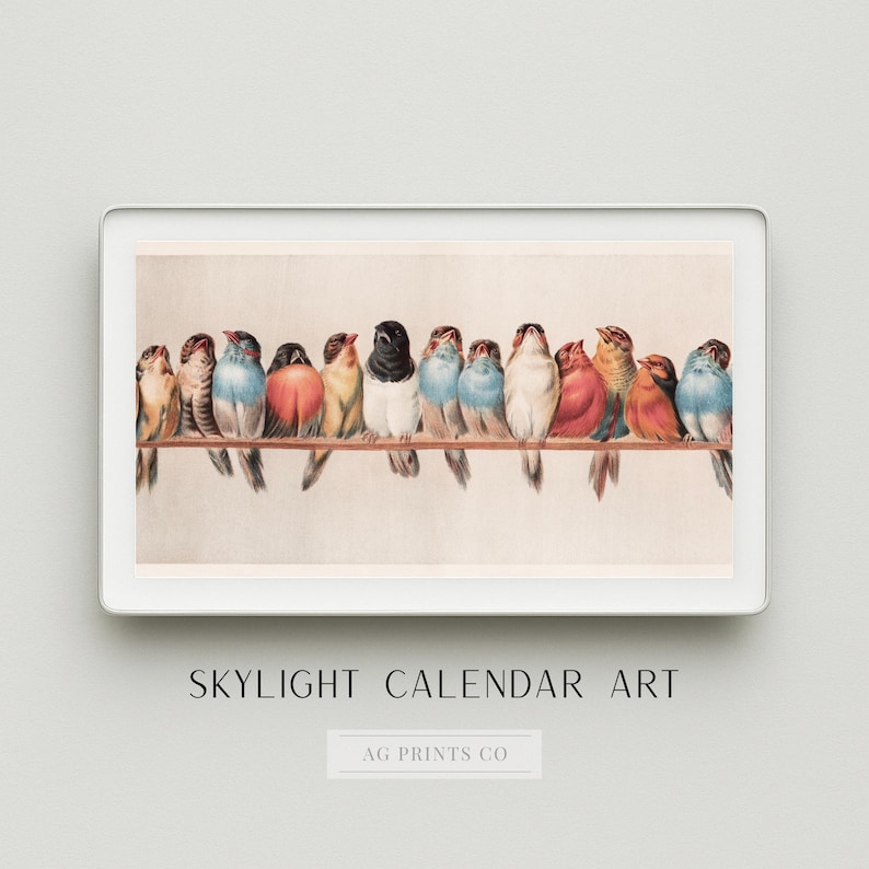 Skylight Calendar Art - BIRDS | Set of 15 Digital Screensavers ...