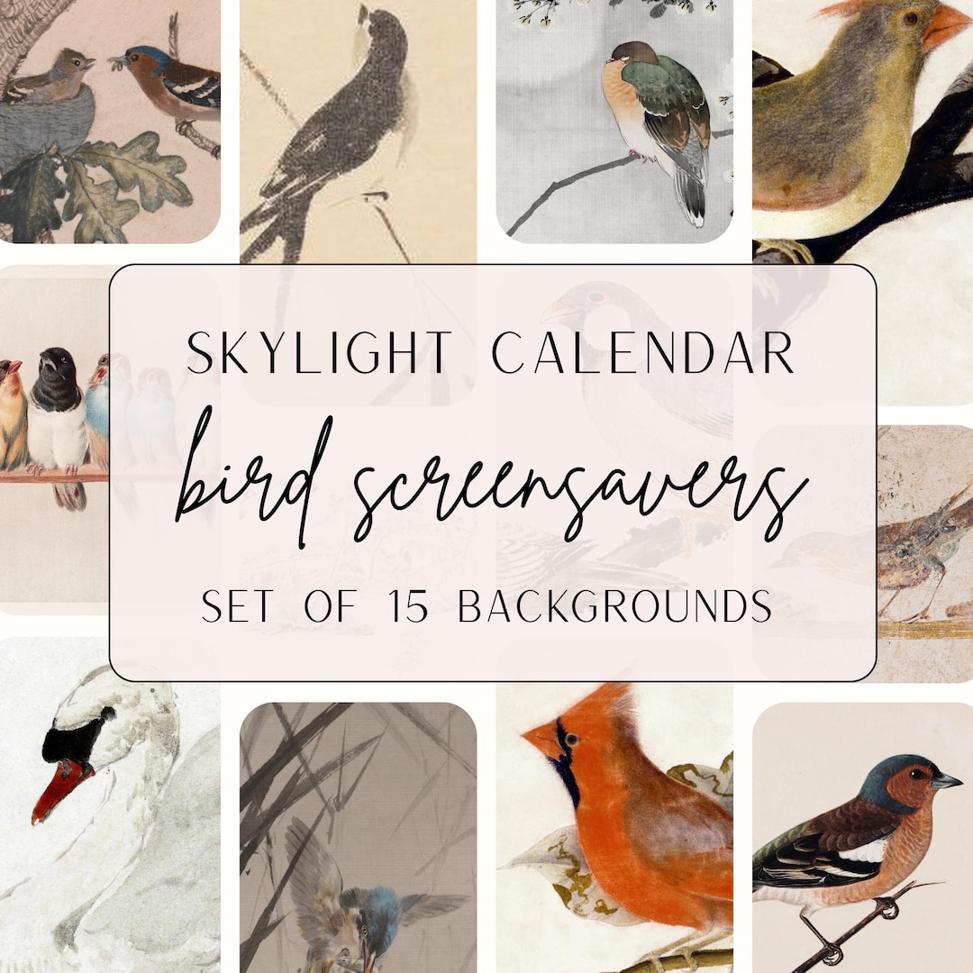 Skylight Calendar Art - BIRDS | Set of 15 Digital Screensavers ...