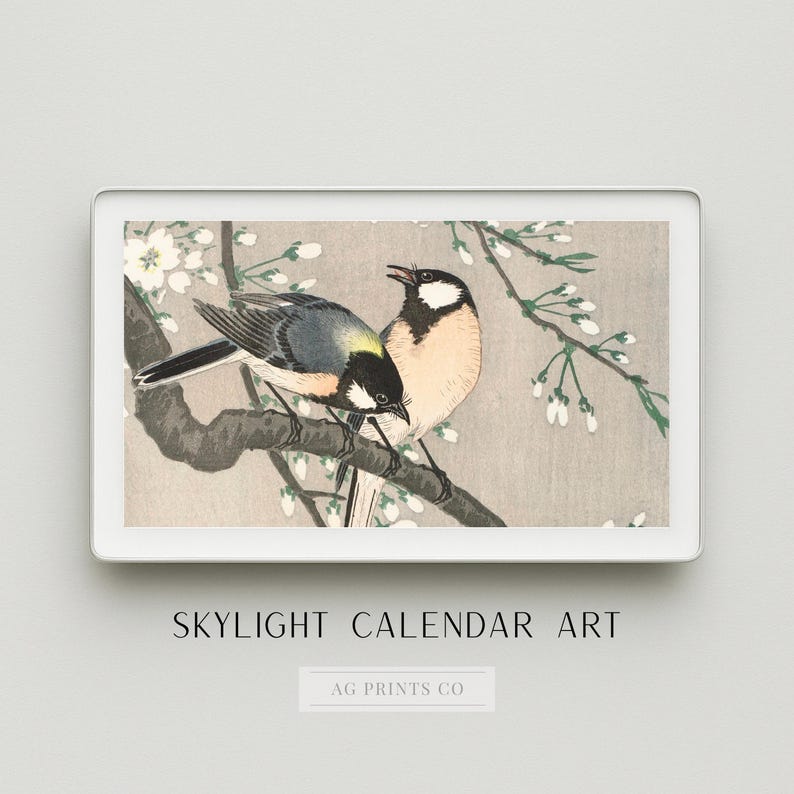 Skylight Calendar Art - BIRDS | Set of 15 Digital Screensavers ...