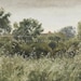 Skylight Calendar Wallpaper - Vintage Fields Screensaver, Skylight ...