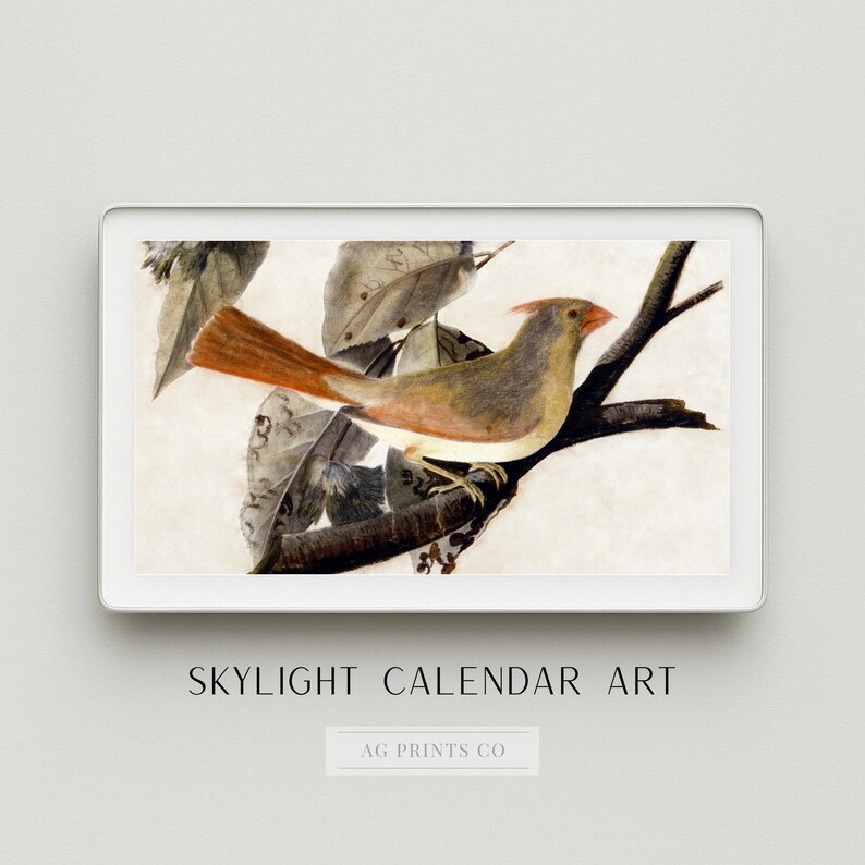 Skylight Calendar Art - BIRDS | Set of 15 Digital Screensavers ...