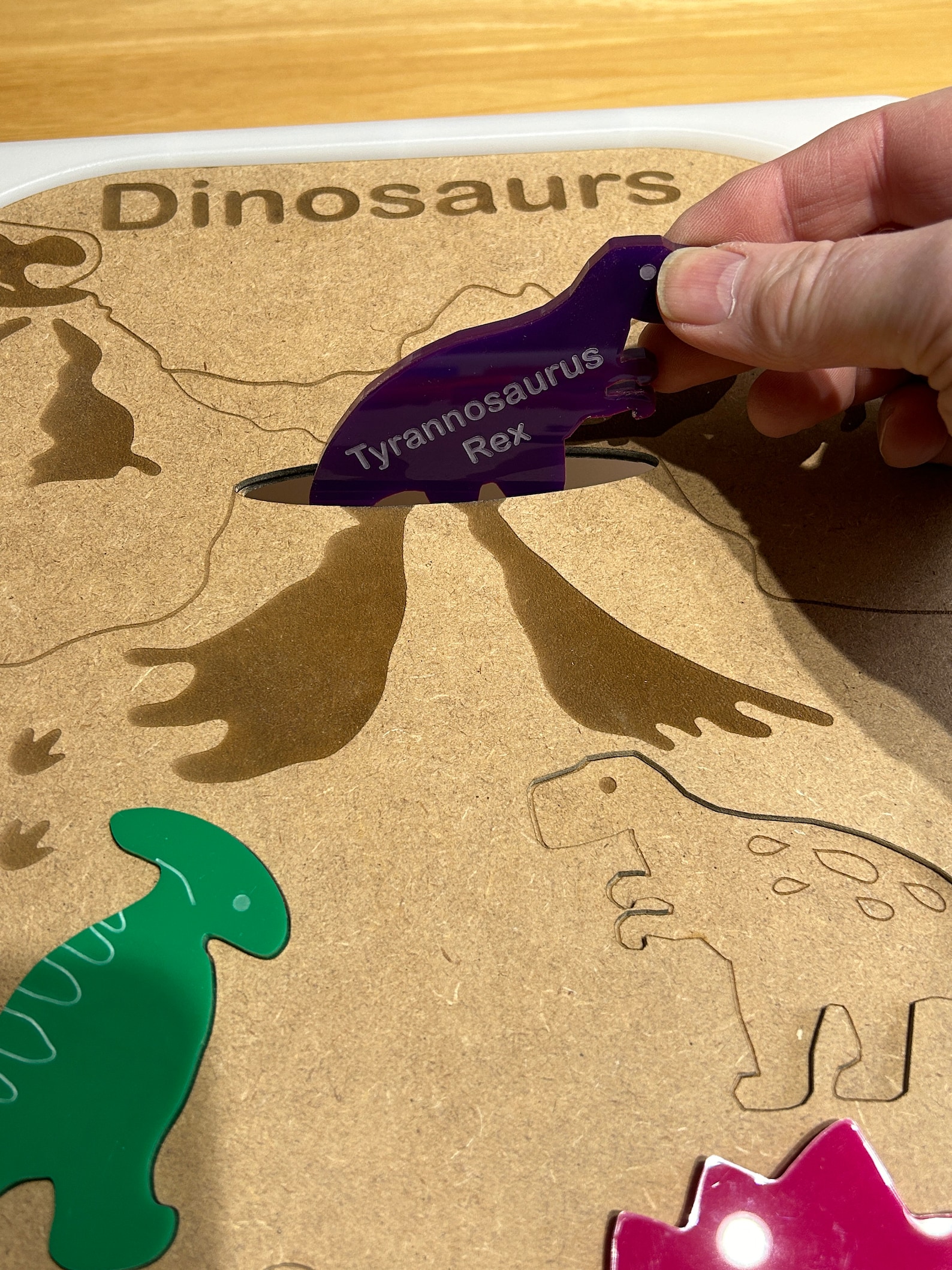 Dinosaurs a Fun Learning Insert / Board for Ikea Trofast Trays, to Fit ...