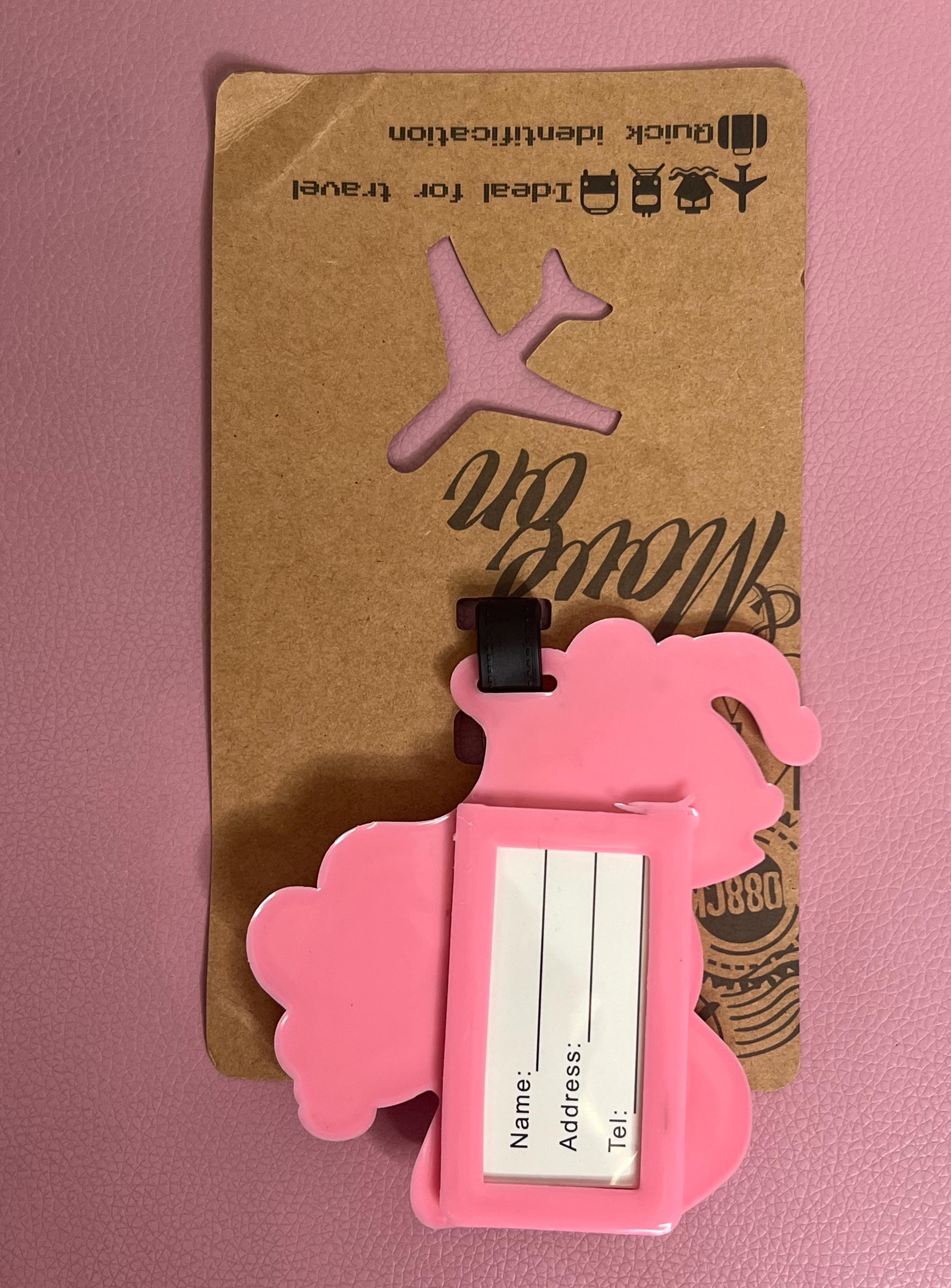 Luggage Bag Tag: My Little Pony, Rainbow Dash, Pinkie Pie - Etsy