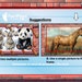 Powerpoint Game Template - Window Smasher - Etsy