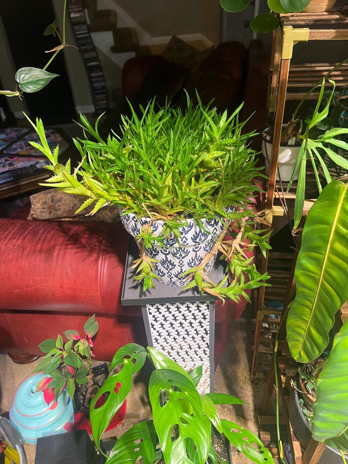 Stacker Adapter Stack Standard Tower on Top of XL Tower - Etsy