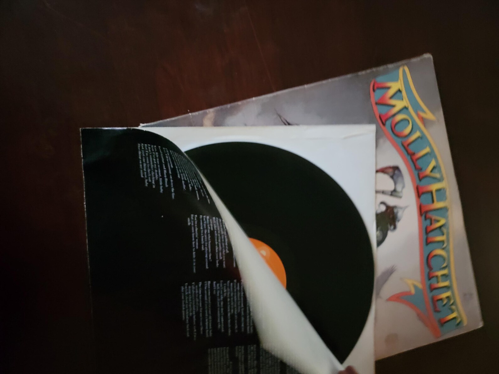 Molly Hatchet 1978 Self-titled Vinyl Record Album AL 35347 JE35347 - Etsy