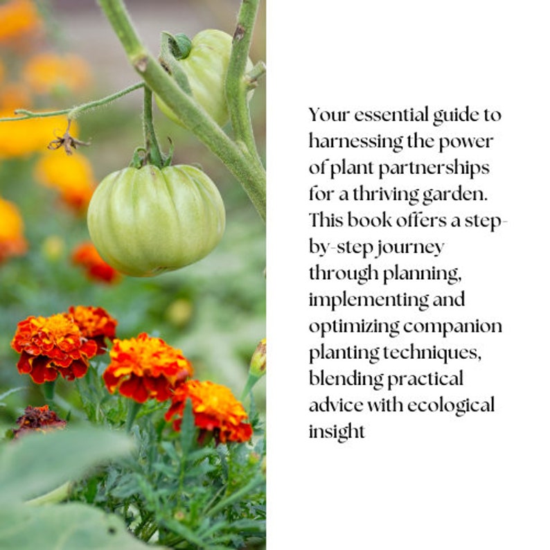 Ultimate Gardening Guide: Top Companion Planting Tips and Techniques for a Thriving Harvest - Etsy