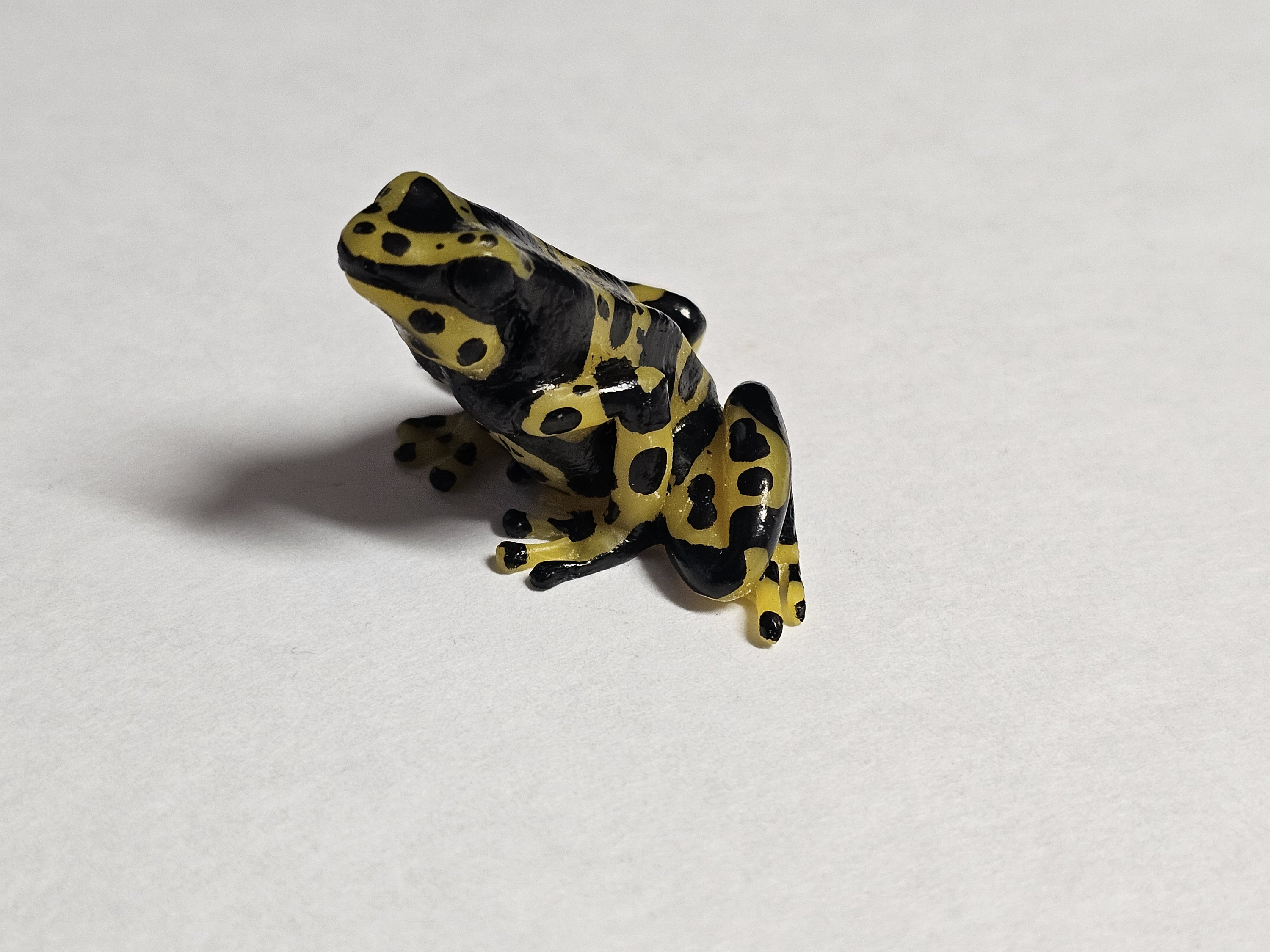 Basic Bumblebee Dart Frog - Etsy