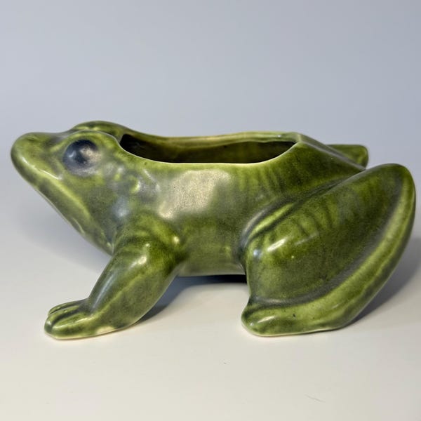 Frog Planter - Etsy
