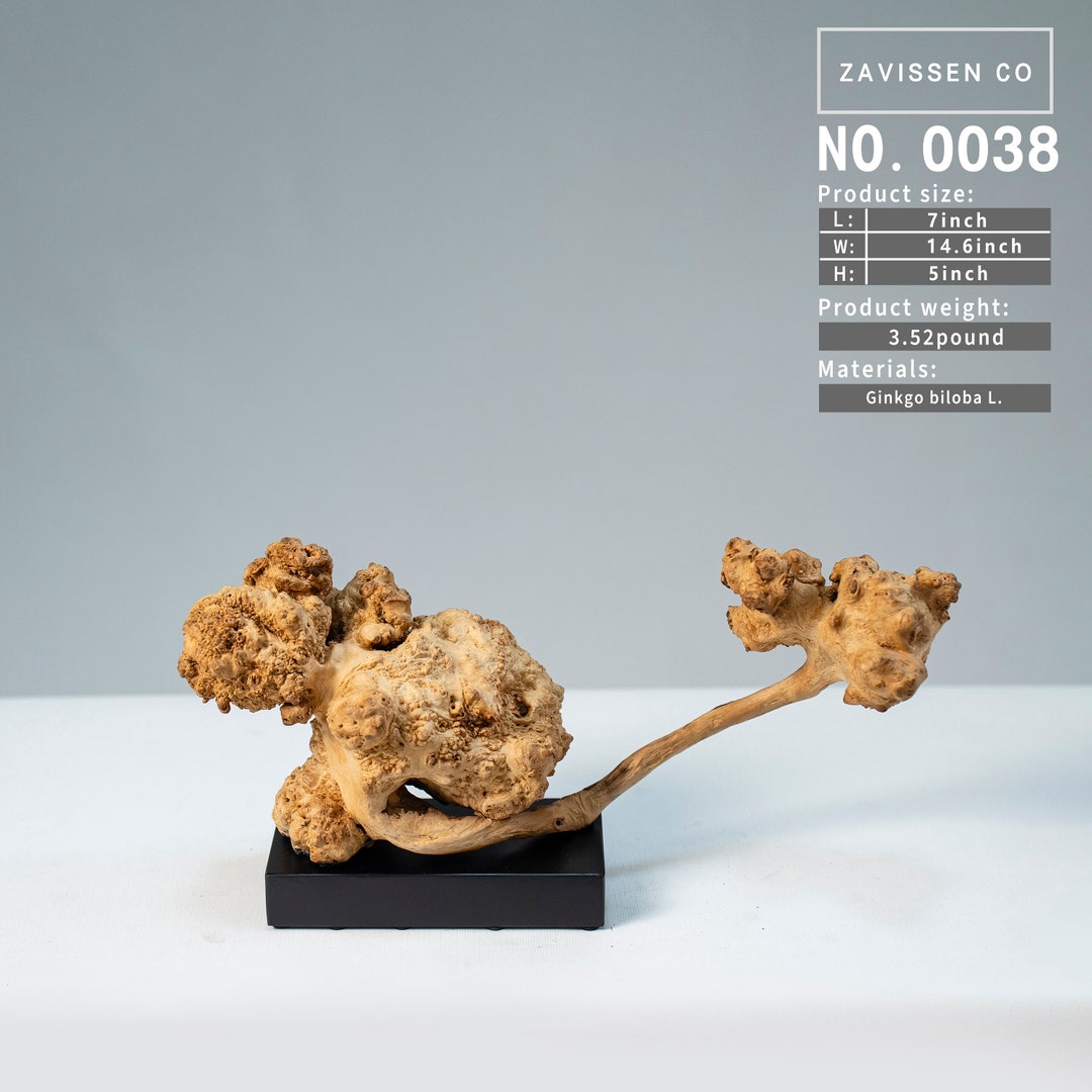 Handmade Wood & Metal Root Sculpture | Natural Tree Root | Teak ...