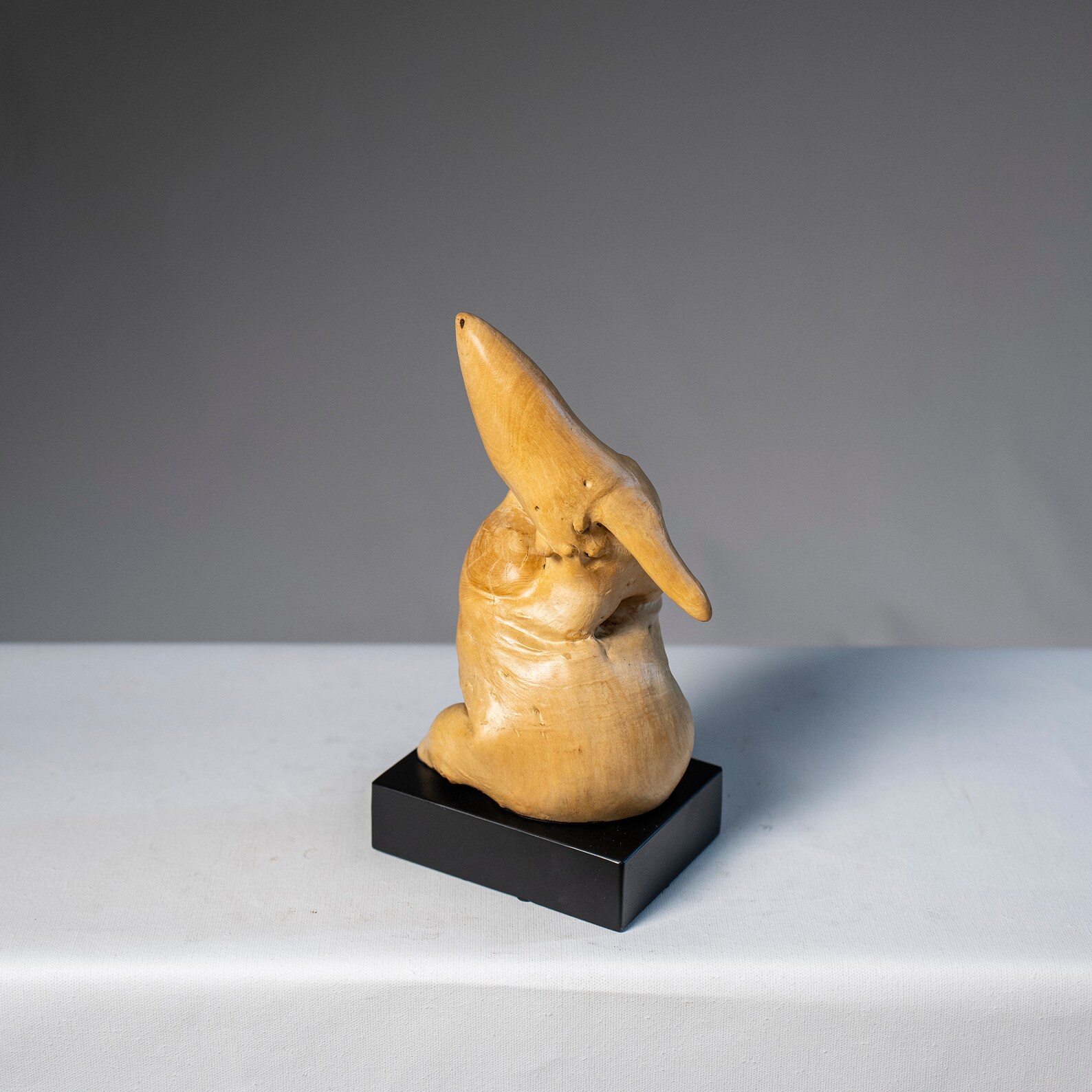 Handmade Wood & Metal Root Sculpture | Natural Tree Root | Teak ...