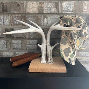 Natural Rustic Eco Double Antler Jewelry Display, Ball Caps, Keys, Mugs ...