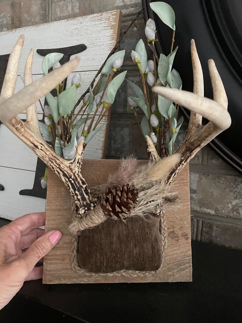 Antler Wall Art Home Decor Rustic Eco Friendly Jewelry Display White ...
