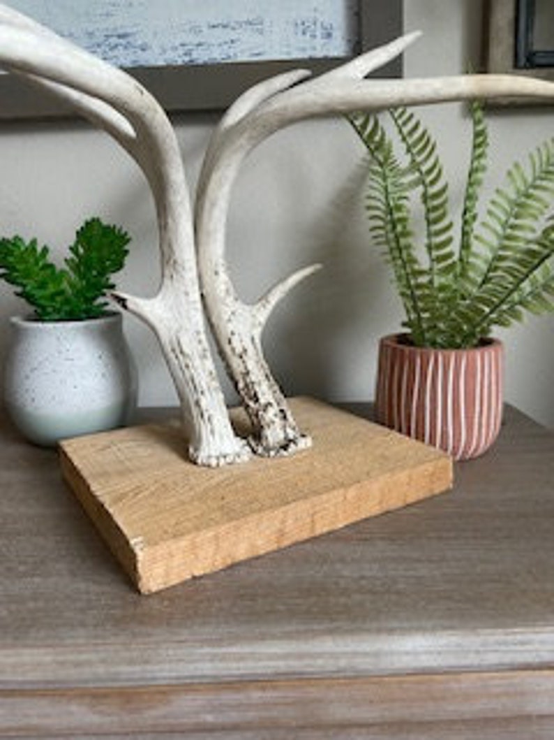 Natural Rustic Eco Double Antler Jewelry Display, Ball Caps, Keys, Mugs ...