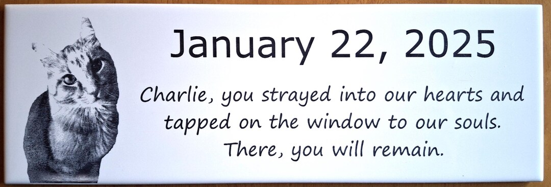 Laser Etched Ceramic Tile -custom Image And/or Text- =tio2= Clean Crisp ...