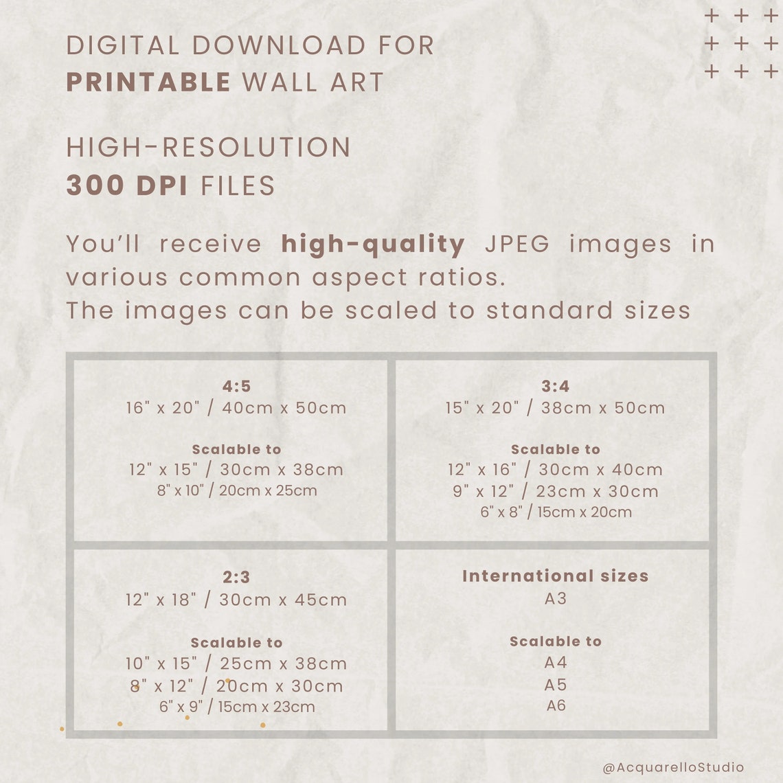 Pedro Dancing Raccoon Poster Dancing Raccoon Meme Print Raccoon Dancing ...